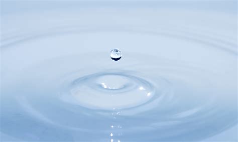 环境检测领域 睿科集团厦门股份有限公司