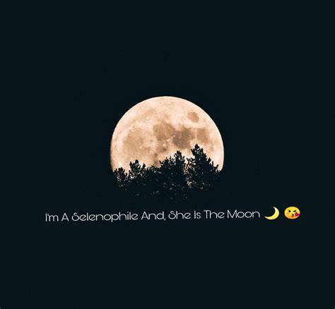 100 Moon Quotes Wallpapers