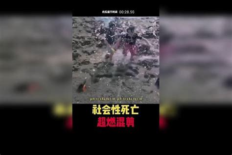 搞笑视频 沙雕人类迷惑行为 人类 视频 行为