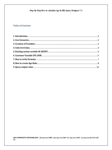 Step By Step How To Calculate Age In Bex Query Disigner 73 Document