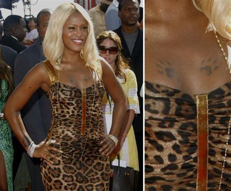 Beta Kitten Attire Programming Artofit