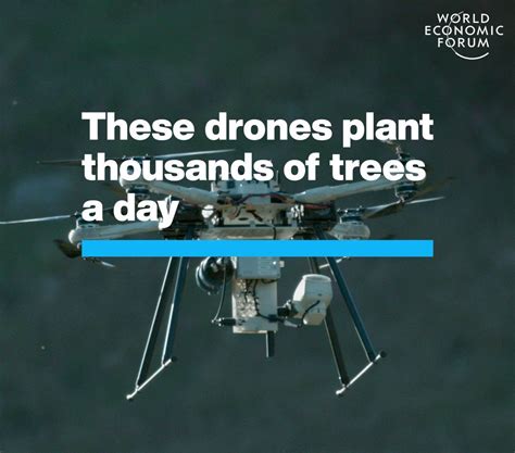 Ecosystems Seed Firing Drones Planting Trees Boomers Daily