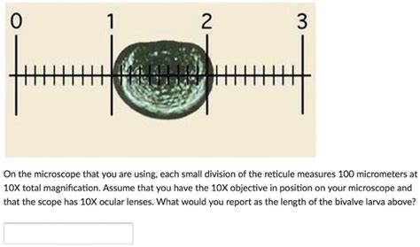 On The Microscope That You Are Using Each Small Division Of The Reticule Measures 100
