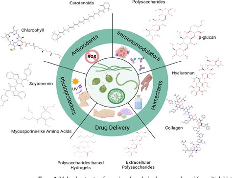 Figure 1 From Microalgae Bioactive Compounds To Topical Applications Products—a Review