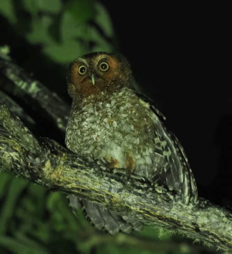 GCSE Computer Science OCR Flashcards Quizlet