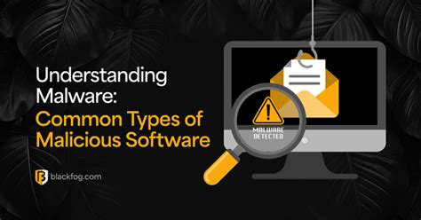 Understanding Malware Common Types Of Malicious Software You Need To