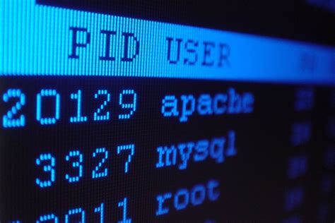 Raspberry Pi Comment Lancer Un Programme Au Démarrage Raspberrytips