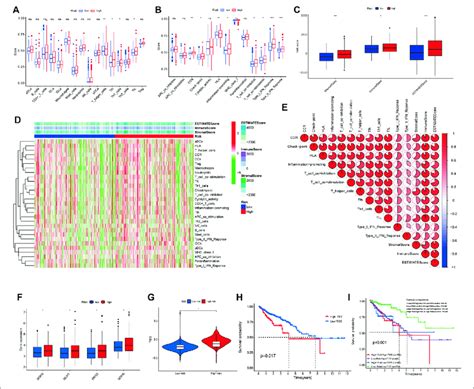 The Correlation Between The Immune Infiltrations And Tme A B The Download Scientific
