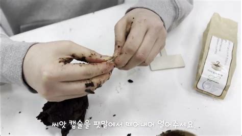 월간지구 1호 2단계 커피박 씨앗공 만들기 활동 방법 Youtube