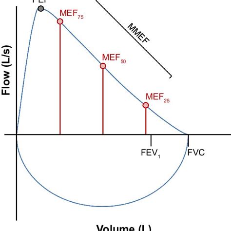 Graphical Representation Of A Flow Volume Loop Indicating The Download Scientific Diagram