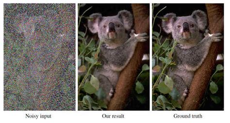 Neural Networks Learn To Remove Noise Without Seeing A Good Image