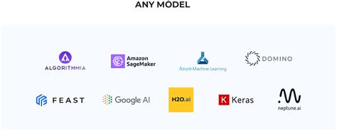 ML Observability Platform AI Model Monitoring ML Infrastructure