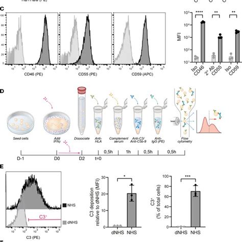 CD55 Overexpression In IPSCs Decreases Complement Deposition A Cell Download Scientific