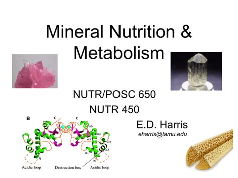 Lecture 01 Intro