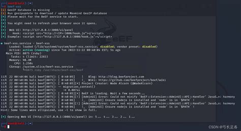 实验三 xss和sql注入 软件安全第十一章实验三xss php csdn博客