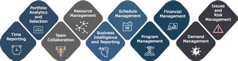 Microsoft Project Server Ppm 360 Skills