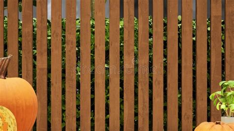 Pumpkin Halloween Interior Copy Space Wooden Planks Background