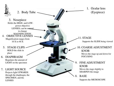 Microscope Diaphragm Function Micropedia