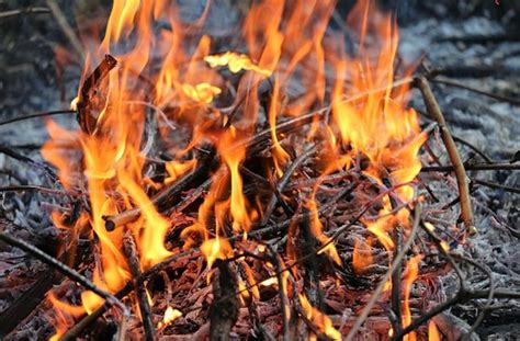 The Essential Guide To Temperature Controlled Biochemical Incubators Kingpo Test Equipments