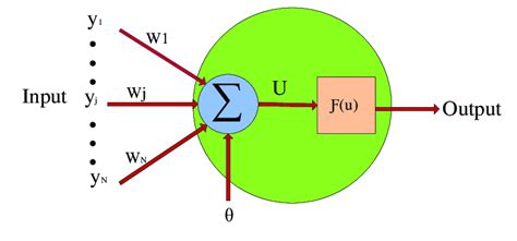 A General Structure Of A Neuron And A Networked Interconnection