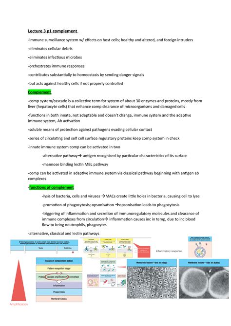 Lecture 3 P1 Complement System Lecture 3 P1 Complement Immune Surveillance System W Effects