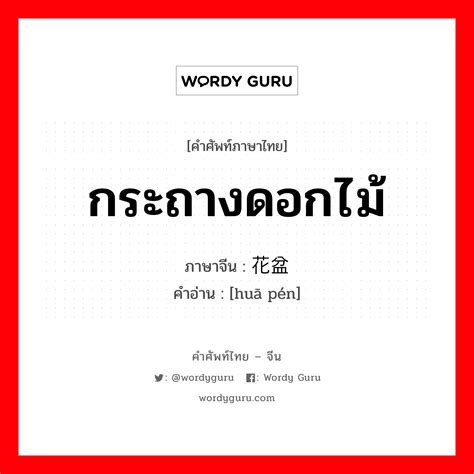 กระถางดอกไม้ ภาษาจีนคืออะไร Wordy Guru