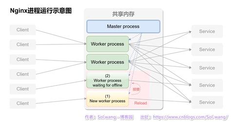 微服务 Nginx网关 · 进程机制 · 限流熔断 · 性能优化 · 动态负载 · 高可用 Sol·wang 博客园
