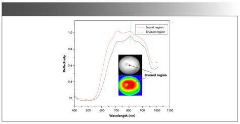 Detection Of Early Bruises In Honey Peaches Using Shortwave Infrared