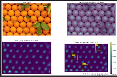 基于密集场景的下的目标检测与计数实战代码实现）密集计数 Csdn博客