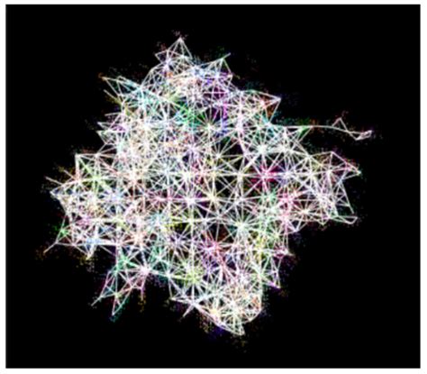 Supervoxel Clustering Result In Standard Experiment Group Download