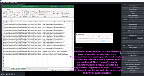 Batch Processing — Vascilia 130 Documentation