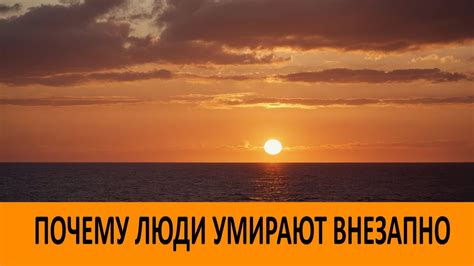 Почему люди умирают внезапной смертью Youtube