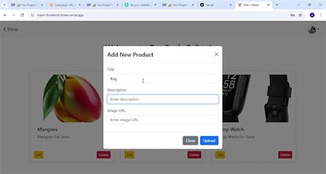 Fix Bugs And Add Features In Your Mern Stack App By Asadamin356 Fiverr
