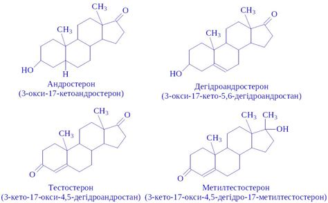 Чоловічі статеві гормони