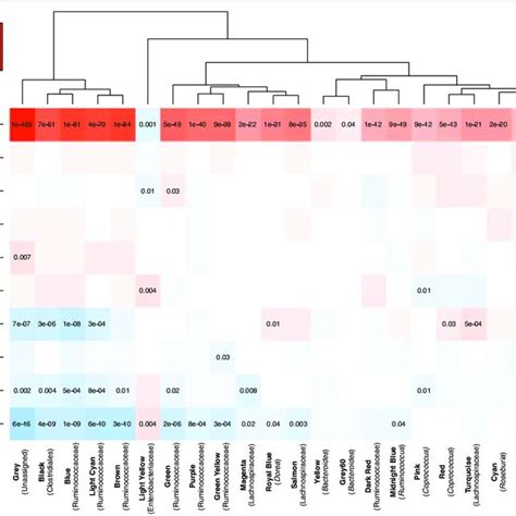 Correlation Of Frailty Diversity And Model Covariates With Modules Of