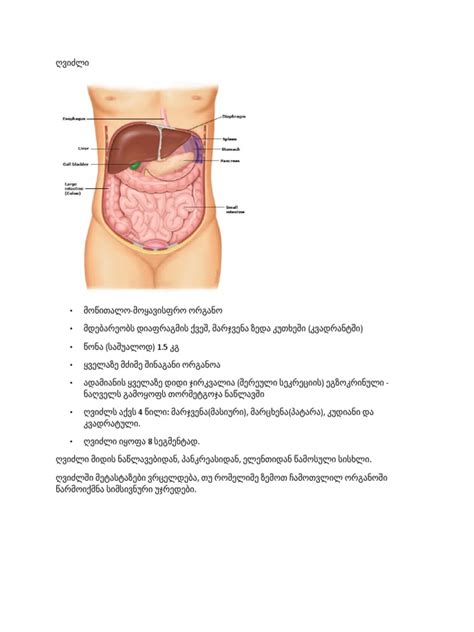 ღვიძლი და ნაღვლის ბუშტი Pdf