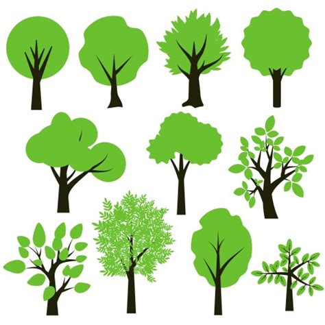Set Of Tree Icons Royalty Free Vector Image VectorStock