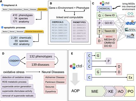 The Comparative Toxicogenomics Database Update 2019 Pmc