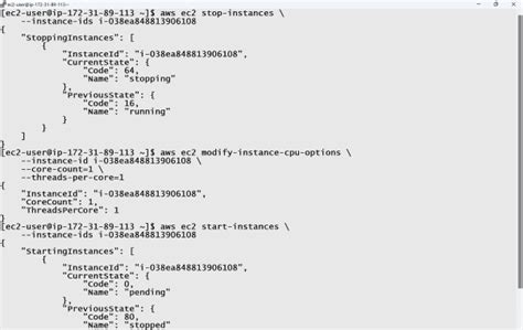 Change AWS EC2 CPU Options Post Launch 4sysops