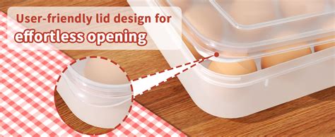 Newness Deviled Egg Containers With Lid Set Of 2 Plastic Egg Platter For 48