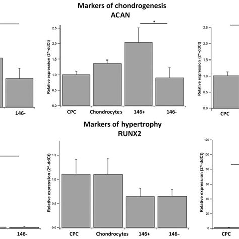 Relative Expression Of Sox 9 Acan Col2a1 Col10a1 Runx2 And Mmp13 Download Scientific