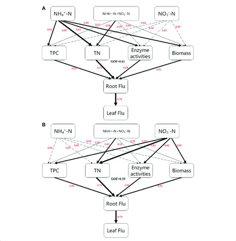 Directed Graph Of The Partial Least Squares Path Model Pls Pm Of Rice Download Scientific