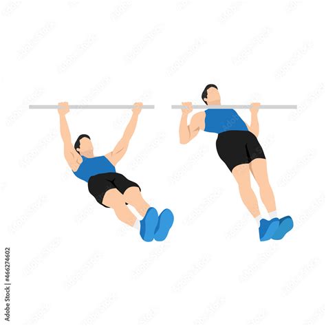 Inverted Row Exercise