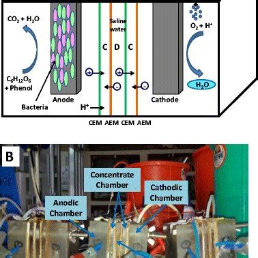 A Schematic And B Photograph Of Multichambered Mdcs Aem Anion Exchange