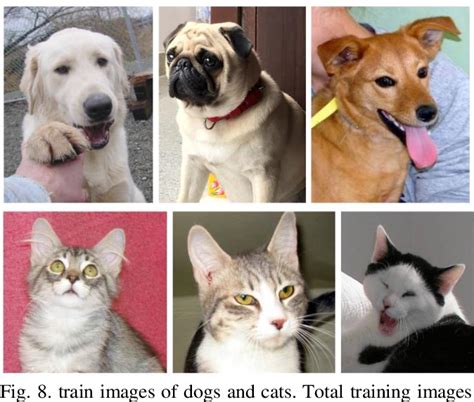 Figure 1 From Transfer Learning Using Vgg 16 With Deep Convolutional