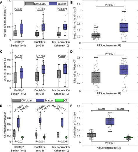 A D Image Similarity Metrics Quantified Between Micro Ct And Either Download Scientific