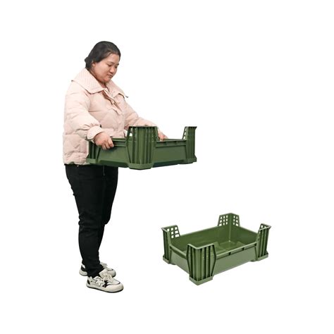 Best Container For Raising Mealworms For Sale Insect Feeding Boxes Wholesale