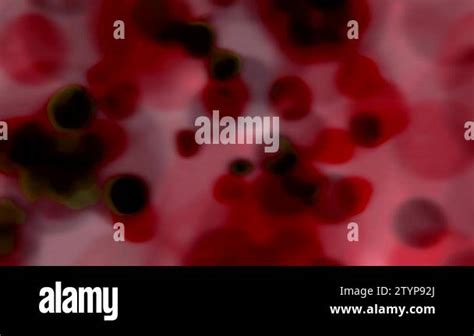 Dark Cell Blob Background Red Stock Video Footage Alamy
