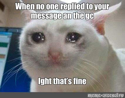 Meme When No One Replied To Your Message An The Gc Ight Thats Fine