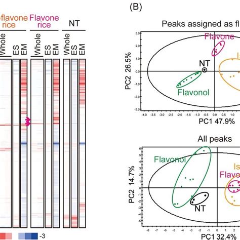 Cluster Analysis And Principal Component Analysis Pca A Download Scientific Diagram